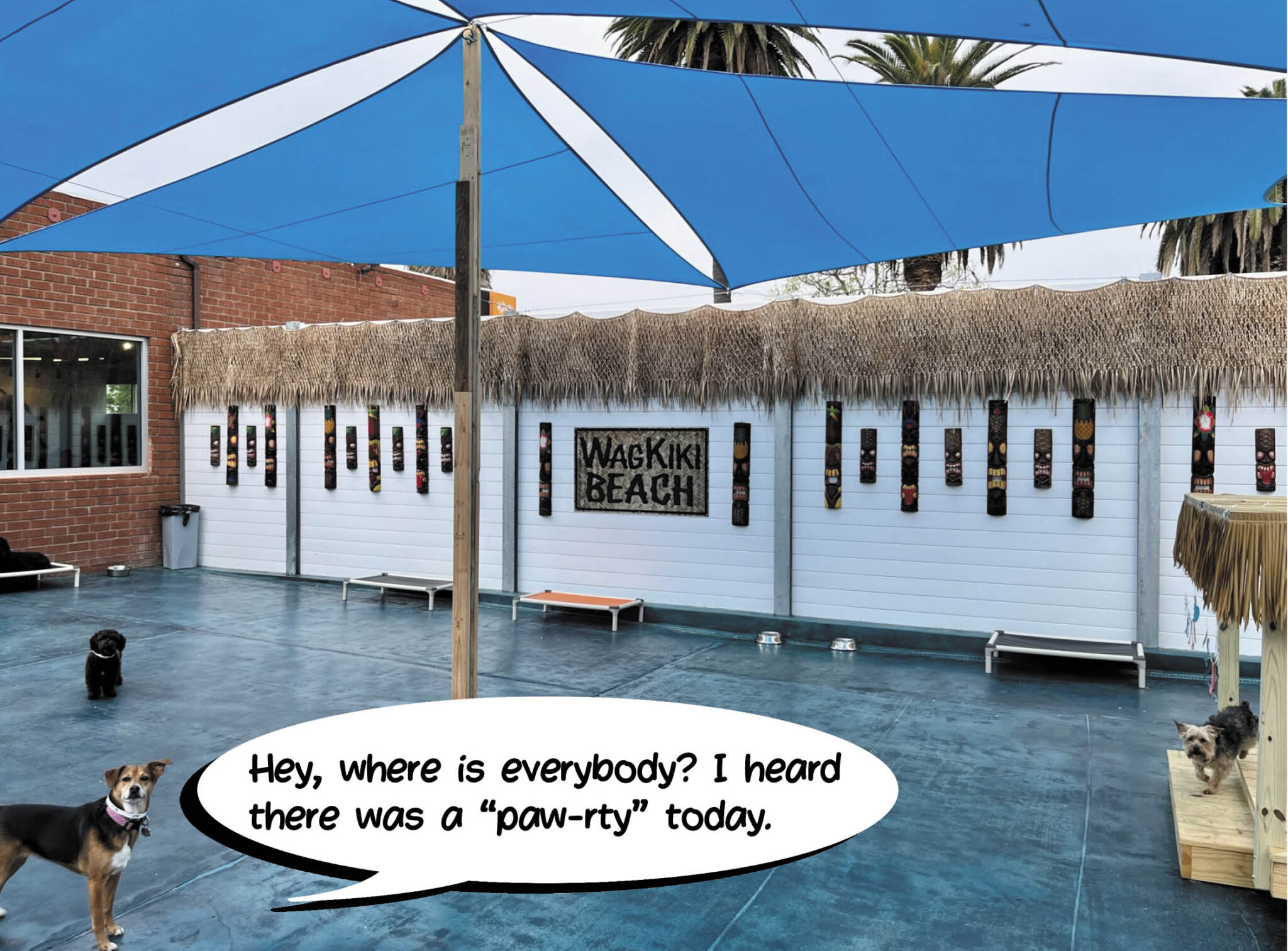 AIL Sound Walls make better neighbors at Wag Hotels